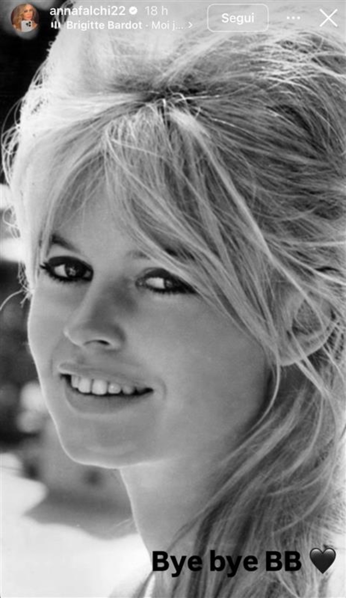 ''Mi lega a lei una lieve somiglianza'': Anna Falchi ricorda Brigitte ...